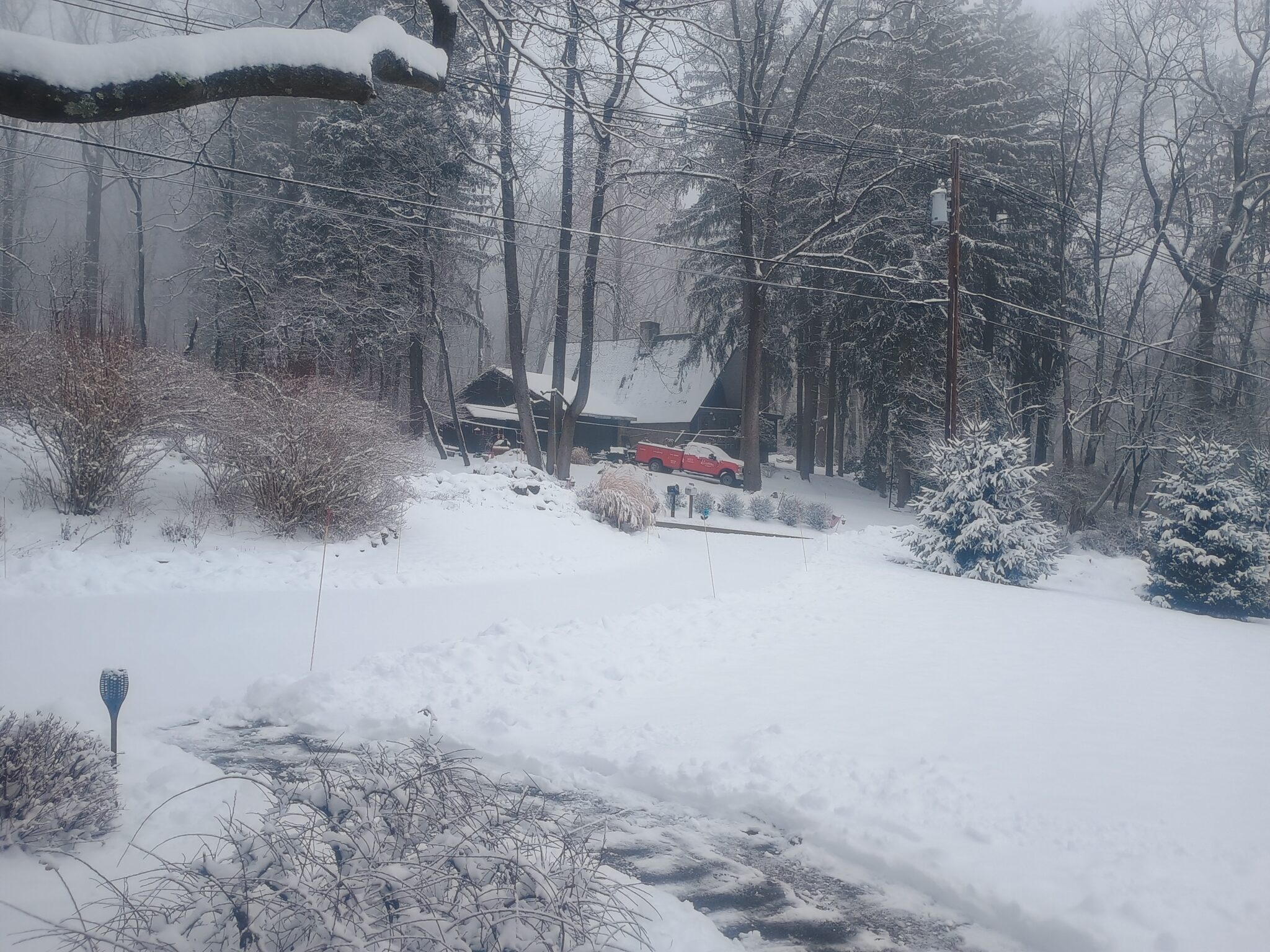 Guest Poem by Tom Kennedy: I Would Like To Murder Snow | FU I'm from Jersey